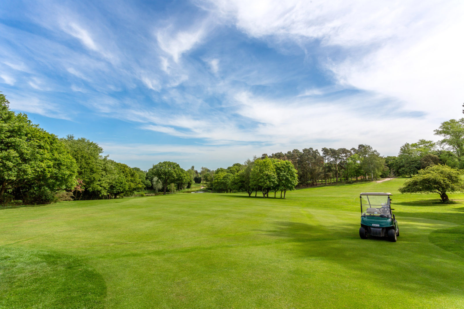 About Us | The Warren Estate